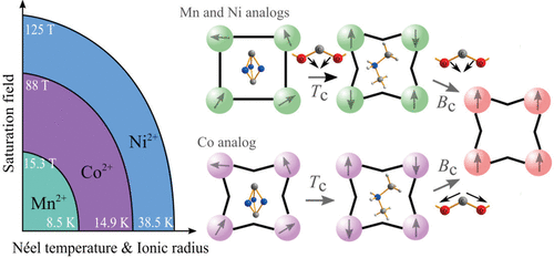 Structure–Property Relations in Multiferroic [(CH3)2NH2]M(HCOO)3 (M ...