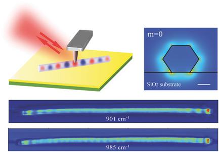 Tunable Low Loss 1D Surface Plasmons in InAs Nanowires,Advanced ...