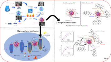 Preparation of novel flower-like BiVO4/Bi2Ti2O7/Fe3O4 for simultaneous removal of tetracycline ...