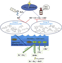 Comparison of the UV/chlorine and UV/H2O2 processes in the degradation of PPCPs in simulated ...