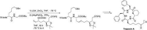 Total Synthesis of Trapoxin A, a Fungal HDAC Inhibitor from Helicoma ...
