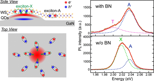 Interfacially Bound Exciton State in a Hybrid Structure of Monolayer WS2 and InGaN Quantum Dots ...