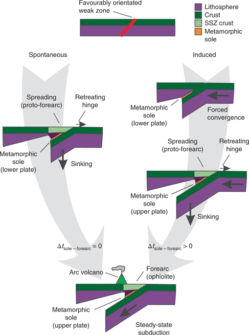Forced subduction initiation recorded in the sole and crust of the ...