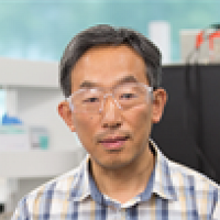 Wang, Shaobin - University of Adelaide - School of Chemical Engineering and Advanced Materials