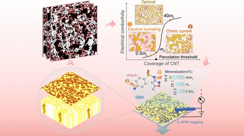 Conductive Percolation of CNT Membranes Influenced Anodic Degradation ...