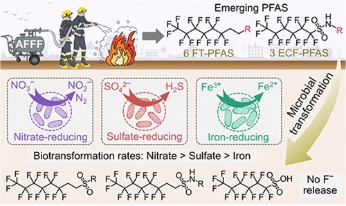 Biotransformation of Emerging Polyfluoroalkyl Substances Derived from ...