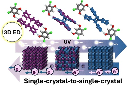 Single-Crystal-to-Single-Crystal Radical-Ion Chain Reactions under the ...