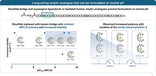 Development of Petrelintide: a Potent, Stable, Long-Acting Human Amylin ...