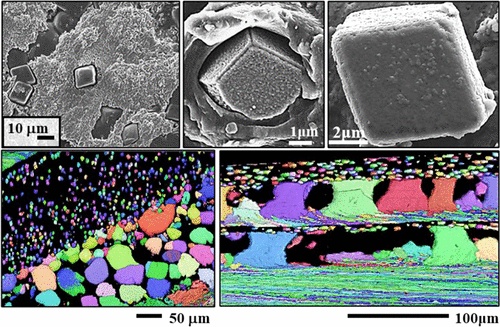 Rhombohedral Calcite in Ostrea Shells: The Influence of Biopolymers on ...
