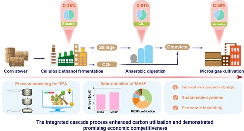 Valorizing Every Carbon Atom: A Cascade Bioprocess for Advanced ...