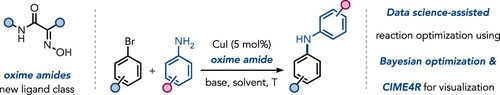 Data Science-Assisted Workflow for Reaction Optimization in Process ...