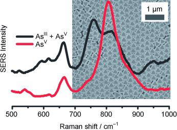 Surface-enhanced Raman spectroscopy for trace arsenic detection in ...