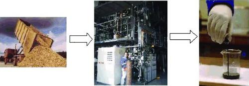 Biofuels and biomass-to-liquid fuels in the biorefinery: catalytic ...