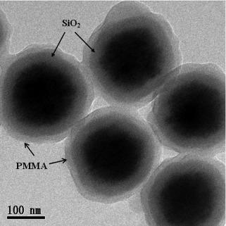 Synthesis of Fe3O4@SiO2@PMMA Core–Shell–Shell Magnetic Microspheres for Highly Efficient ...