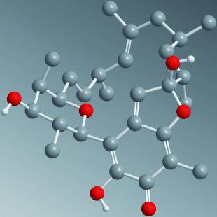 In Pursuit of a Competitive Target: Total Synthesis of the Antibiotic ...