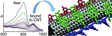 Noncovalent Binding of Carbon Nanotubes by Porphyrin Oligomers,Angewandte Chemie International ...