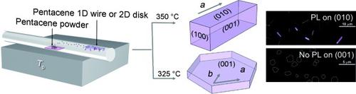 Crystal‐Plane‐Dependent Photoluminescence of Pentacene 1D Wire and 2D ...