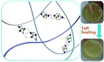 Self‐Healing Supramolecular Gels Formed by Crown Ether Based Host–Guest Interactions,Angewandte ...