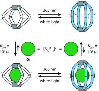 由光致变色配位笼进行的光触发来宾吸收和释放,Angewandte Chemie International Edition - X-MOL