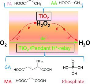 Direct Four‐Electron Reduction of O2 to H2O on TiO2 Surfaces by Pendant ...