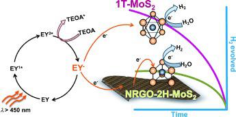 Highly Effective Visible‐Light‐Induced H2 Generation by Single‐Layer 1T‐MoS2 and a Nanocomposite ...