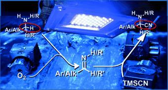 Continuous‐Flow Oxidative Cyanation of Primary and Secondary Amines ...