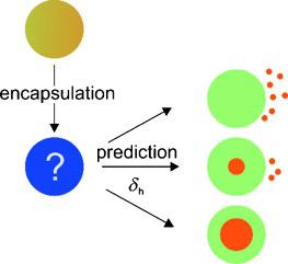 Controlled Formation of Polymer Nanocapsules with High Diffusion ...