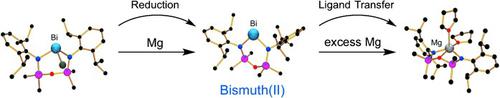 Isolation and Characterization of a Bismuth(II) Radical,Angewandte ...