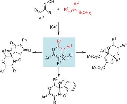 Single‐Step Modular Synthesis of Unsaturated Morpholine N‐Oxides and ...