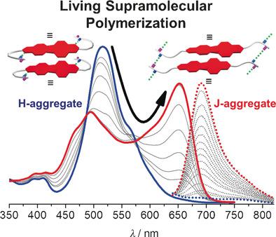 Living Supramolecular Polymerization of a Perylene Bisimide Dye into ...