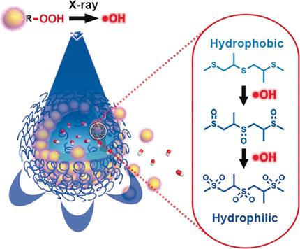 Synchronous Chemoradiation Nanovesicles by X‐Ray Triggered Cascade of ...