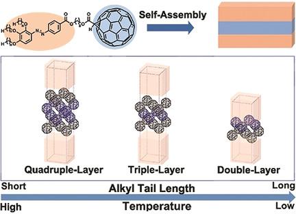 Unique Supramolecular Liquid‐Crystal Phases with Different Two ...