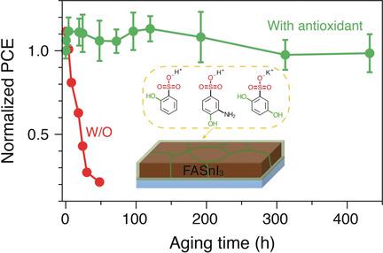 Antioxidant Grain Passivation for Air‐Stable Tin‐Based Perovskite Solar Cells,Angewandte Chemie ...