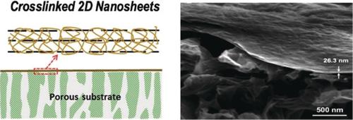 2D Nanosheets and Their Composite Membranes for Water, Gas, and Ion ...