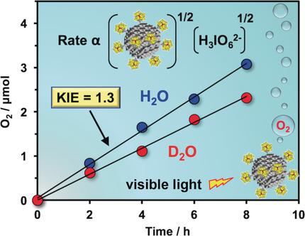Visible‐Light‐Driven Water Oxidation with a Polyoxometalate‐Complexed ...