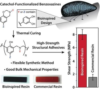 Bioinspired Design Provides High‐Strength Benzoxazine Structural ...