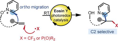 Visible-Light-Induced ortho-Selective Migration on Pyridyl Ring ...