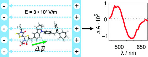 The Influence of Local Electric Fields on Photoinduced Absorption in ...