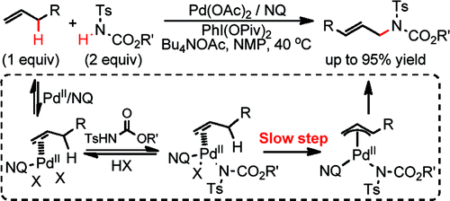 Scope and Mechanism of Allylic C−H Amination of Terminal Alkenes by the ...
