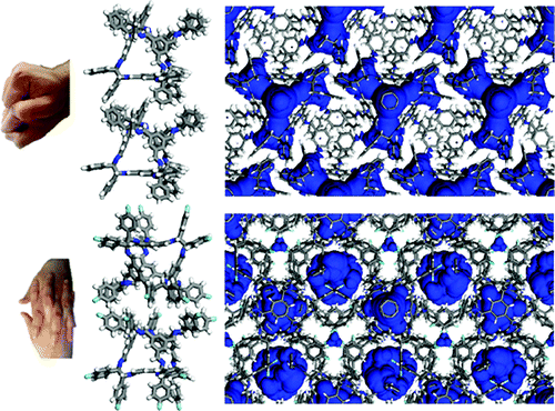 Supramolecular Engineering of Intrinsic and Extrinsic Porosity in ...