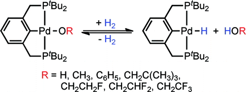 Hydrogenolysis of Palladium(II) Hydroxide, Phenoxide, and Alkoxide ...