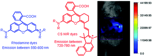 A Unique Class of Near-Infrared Functional Fluorescent Dyes with ...