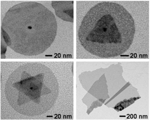Quick, Controlled Synthesis of Ultrathin Bi2Se3Nanodiscs and Nanosheets ...