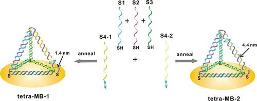Charge Transport within a Three-Dimensional DNA Nanostructure Framework ...