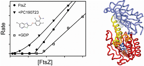 Mechanism of Action of the Cell-Division Inhibitor PC190723: Modulation ...