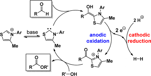 Organocatalyzed Anodic Oxidation of Aldehydes,Journal of the American ...