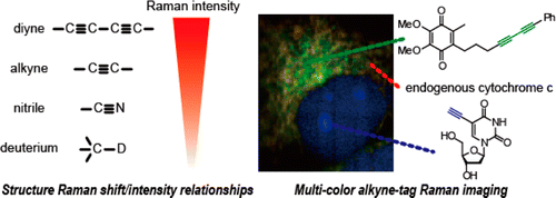 Alkyne-Tag Raman Imaging for Visualization of Mobile Small Molecules in ...