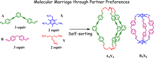 Molecular Marriage through Partner Preferences in Covalent Cage ...