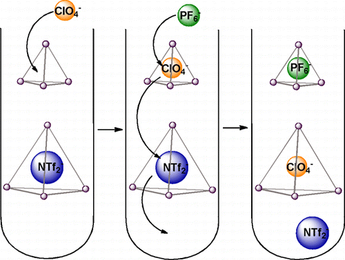 Chain-Reaction Anion Exchange between Metal–Organic Cages,Journal of ...