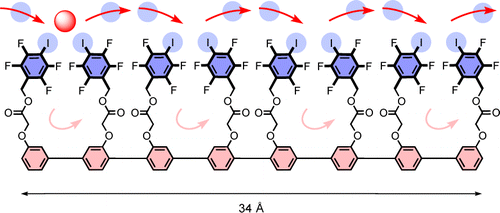 Transmembrane Halogen-Bonding Cascades,Journal of the American Chemical ...